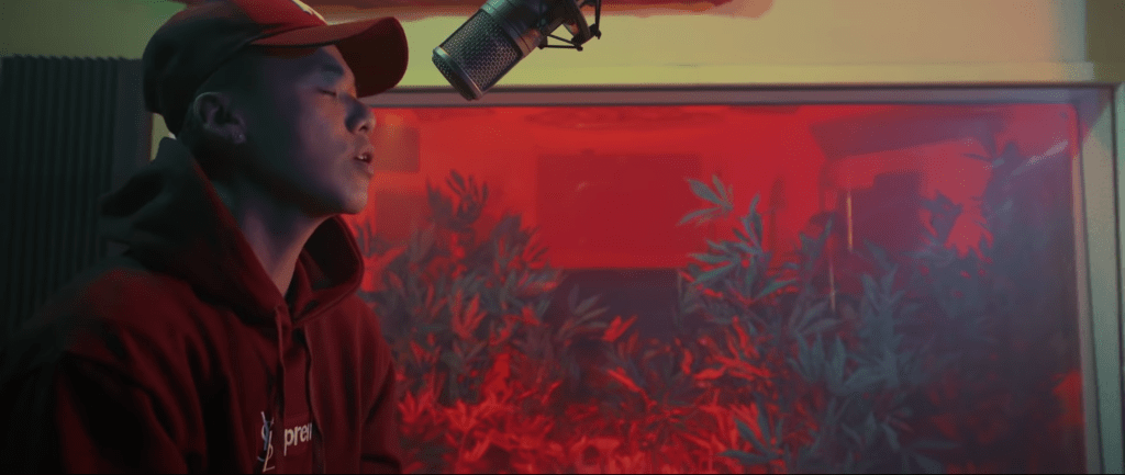 整部MV都大麻！台饒歌手LC小光最新MV〈Stoner feat. JAYRoll〉Roll了這根菠蘿快遞讓石頭人紛紛覺醒 – 海肯黑卡雜誌 HACKAZINE